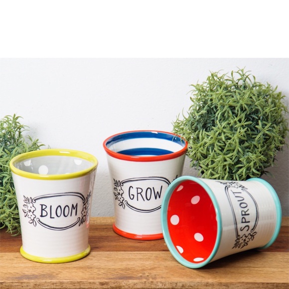 Molly Hatch | Accents | Molly Hatch Bloom Flower Pot | Poshmark
